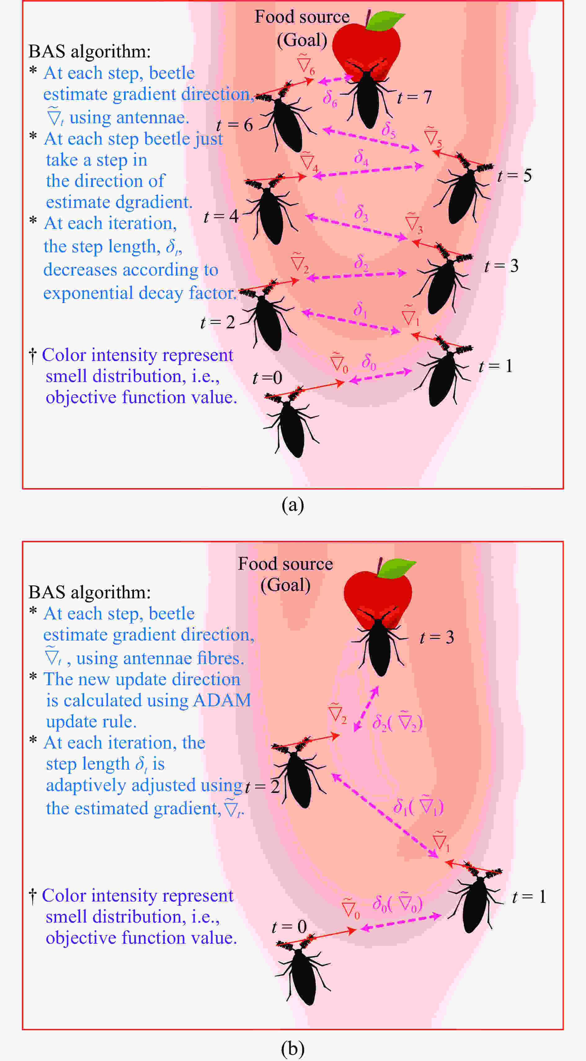 BAS-ADAM: An ADAM Based Approach to Improve the Performance of Beetle ...