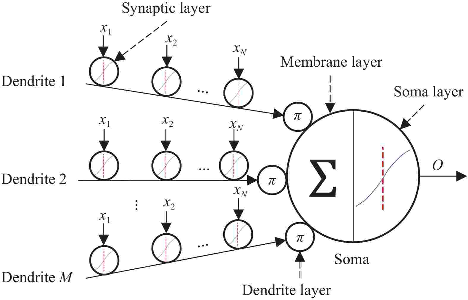 Improving Dendritic Neuron Model With Dynamic Scale-Free Network-Based ...