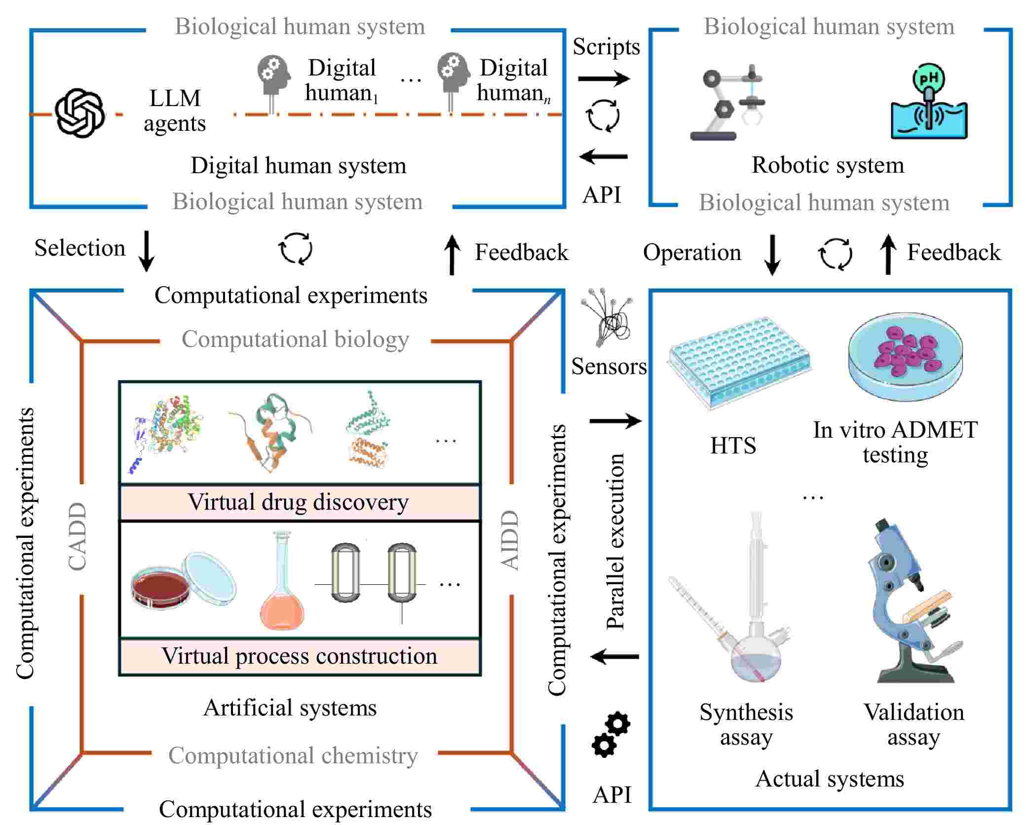 Autonomous Drug Discovery With Parallel Intelligence